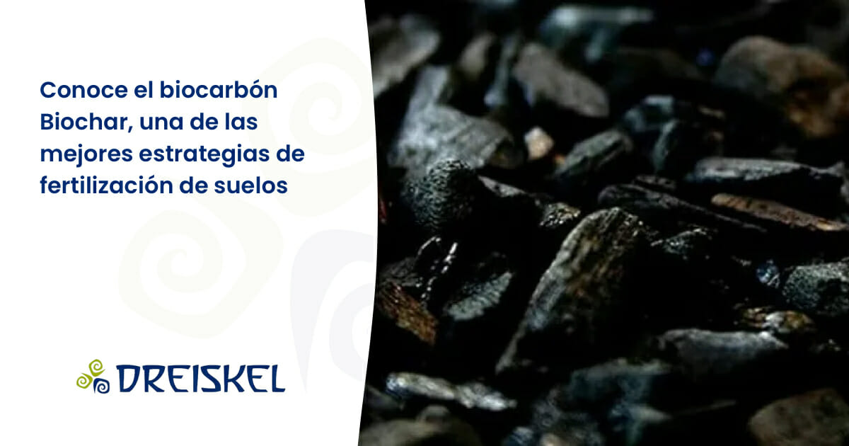 Biocarbón Biochar, una estrategia de fertilización