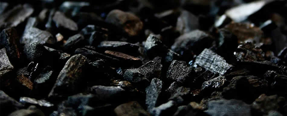 Biocarbón Biochar, una estrategia de fertilización