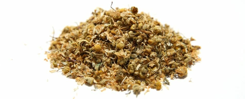Preparado de Manzanilla: Guía práctica en 7 sencillos pasos