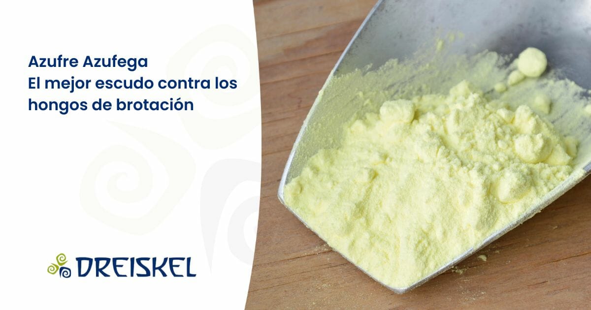 Azufre Azufega el mejor escudo contra hongos de brotación