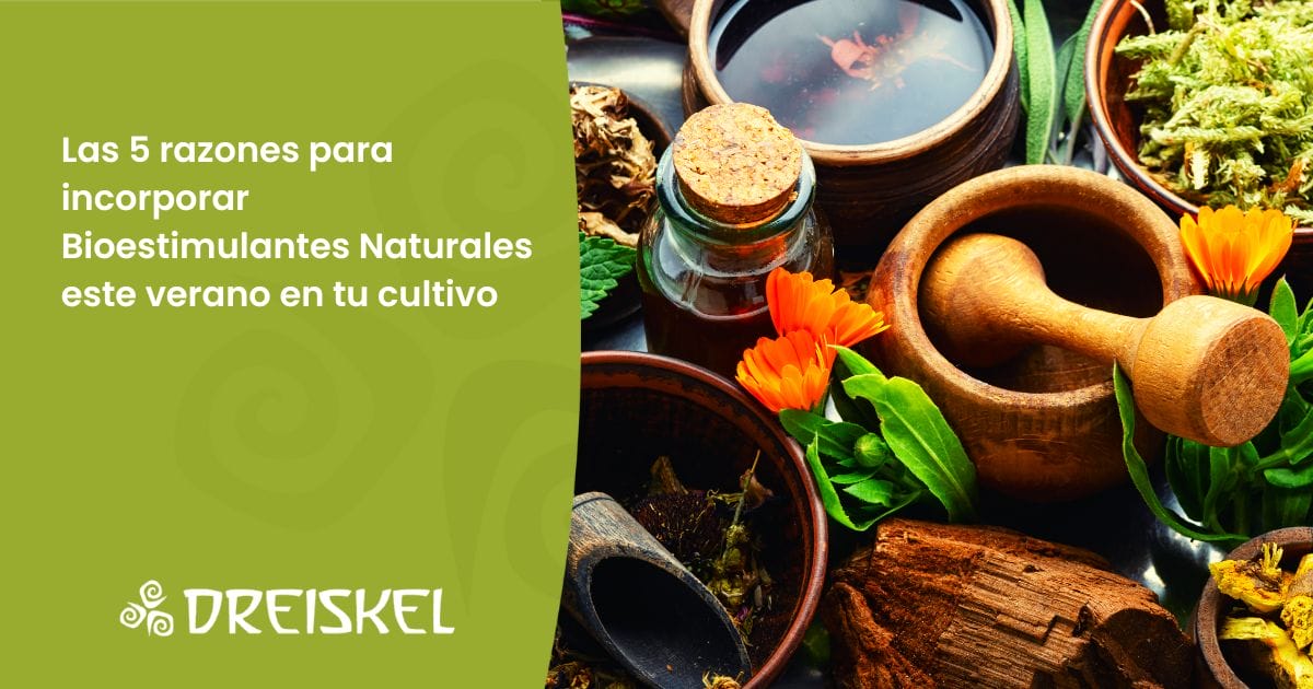 5 razones para aplicar Bioestimulantes Naturales en verano