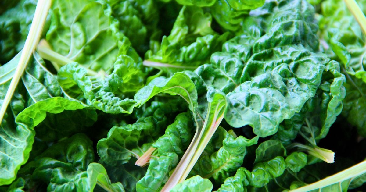 5 razones para aplicar Bioestimulantes Naturales en verano